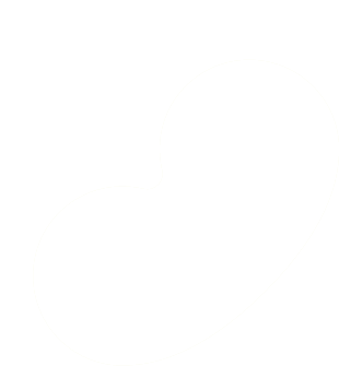 Trends | ROLAND BEANS